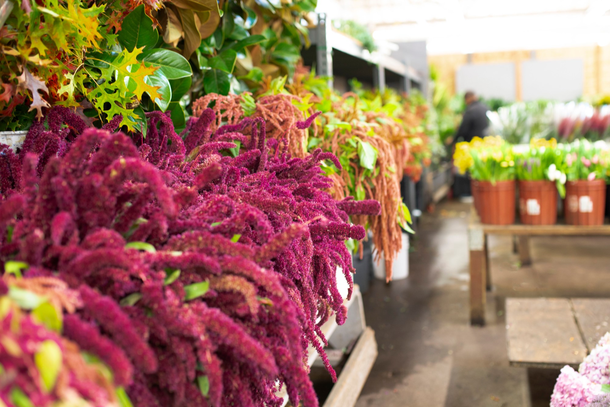 Our New Home - San Francisco Flower Market